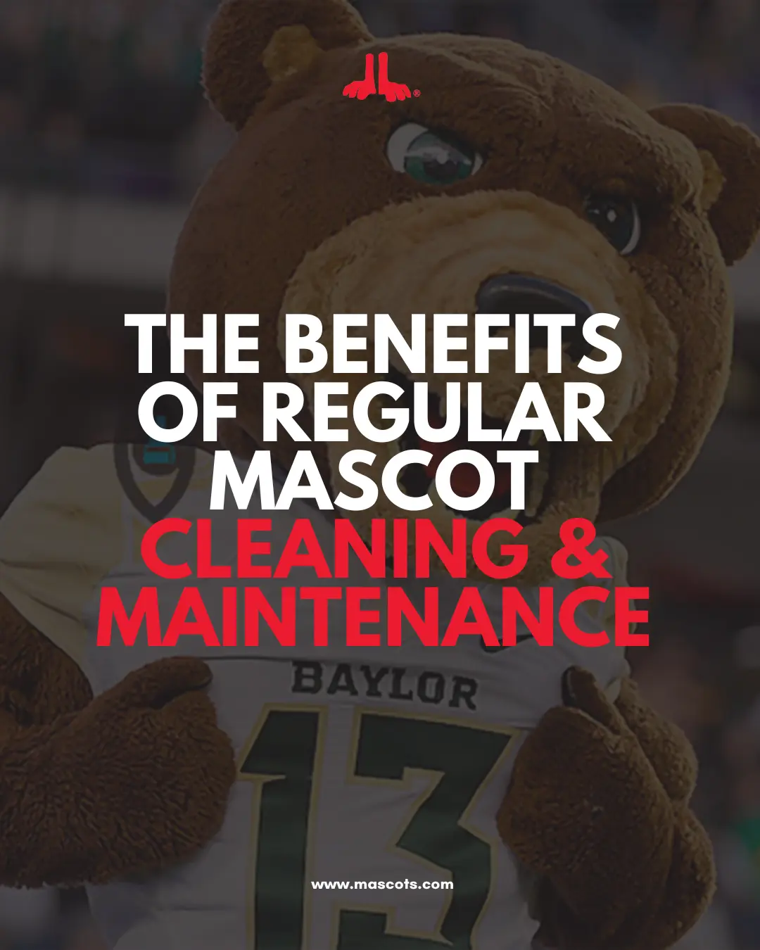 The Benefits of Regular Mascot Cleaning & Maintenance | My Website